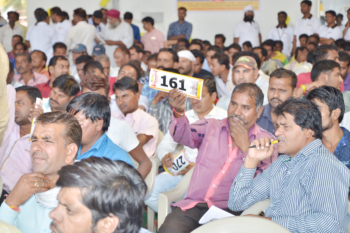 How to Buy a Used Car at Auction – Step-by-Step Guide for First-Time Buyers